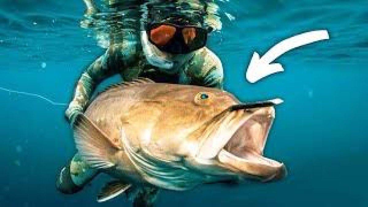 ถูกขโมยปลา