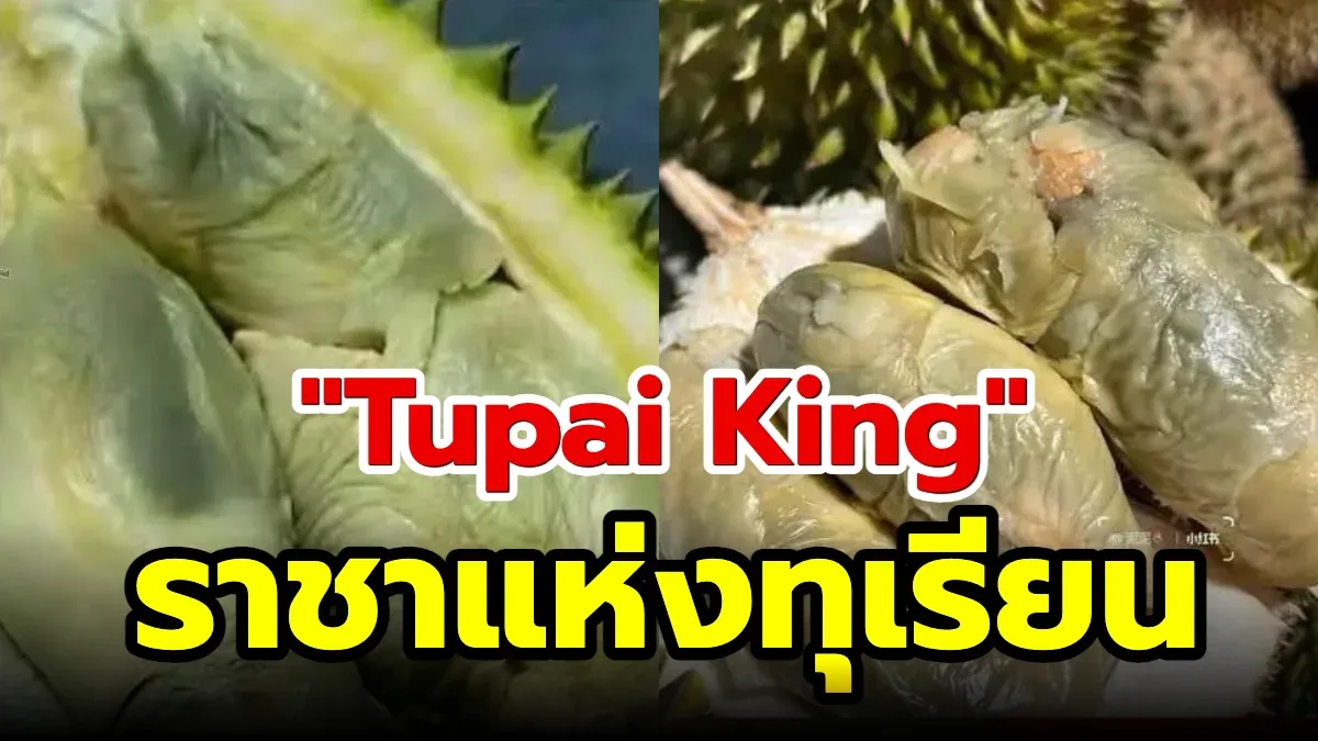 ผลไม้แปลก