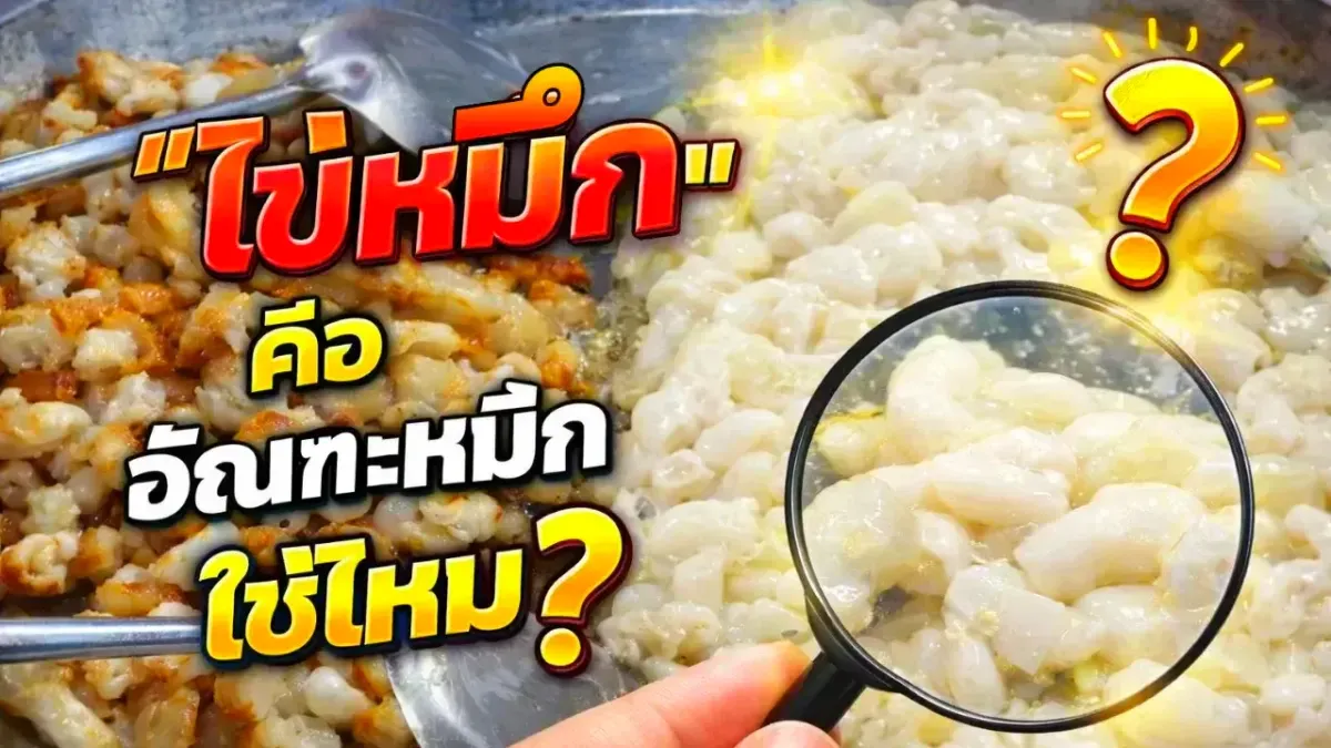 เรื่องสัตว์ทะเล