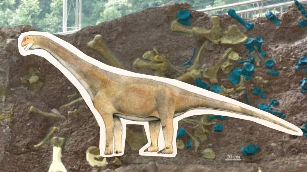 ไดโนเสาร์ชนิดใหม่